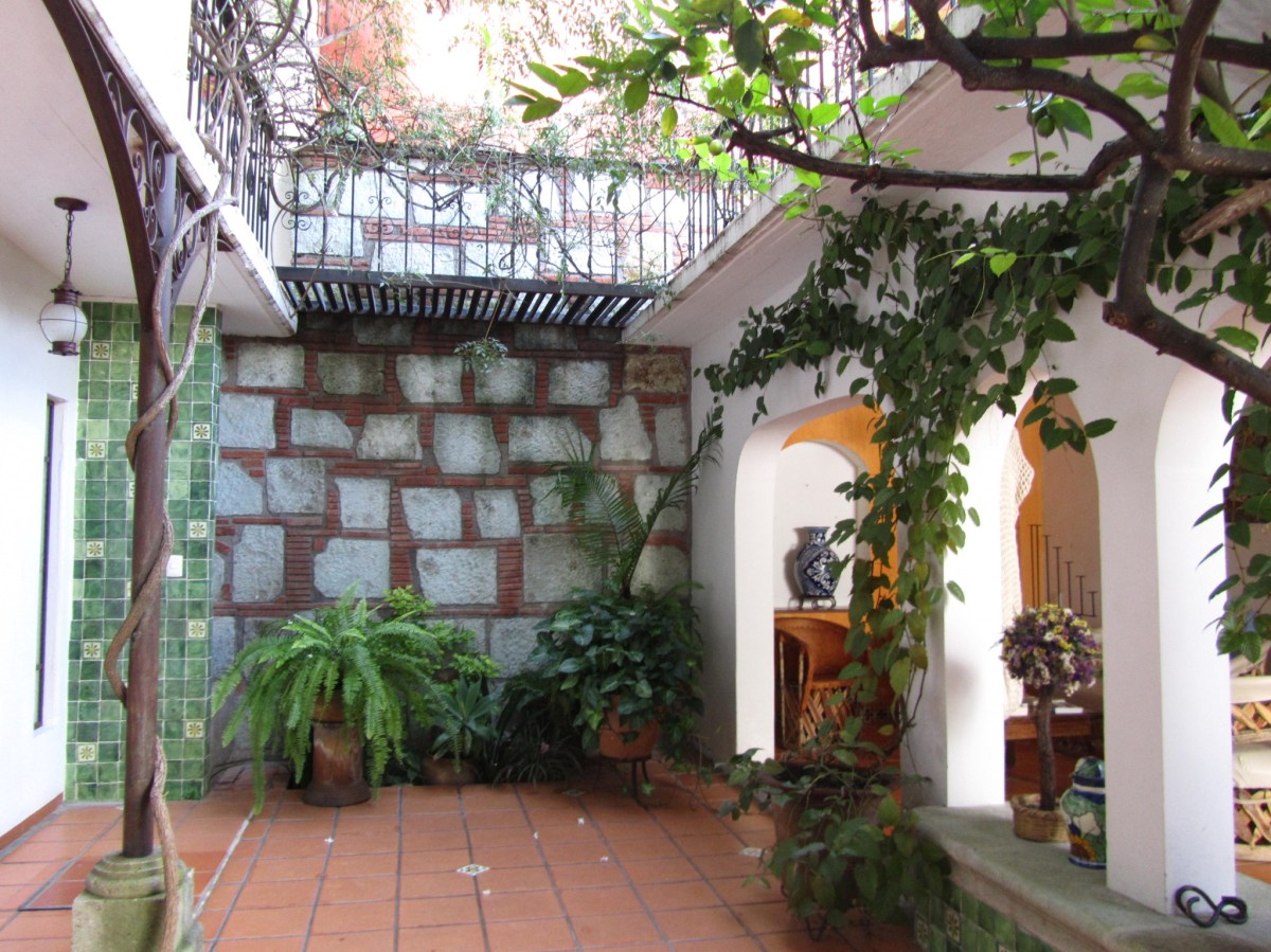 Latin American Studies | La Plaza Virtual, New England